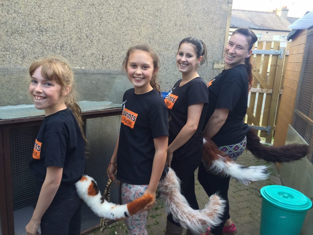 Cat Volunteer Tails – Pawprints Cat Rescue